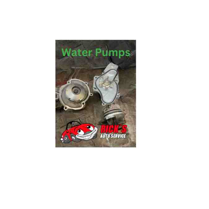 What does a Water Pump do? - Rick's Auto Service
