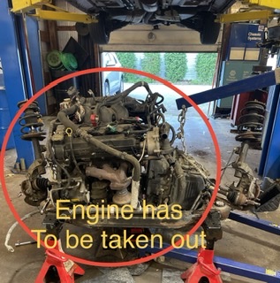 What does a Flex Plate do? - Rick's Auto Service